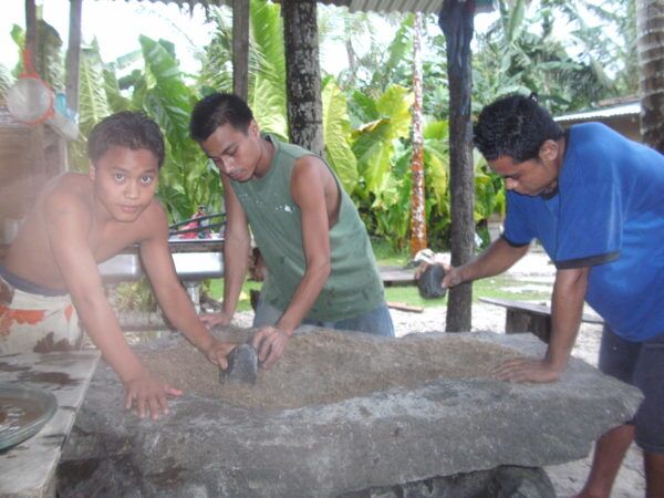 The traditional drink of Pohnpei: Sakau